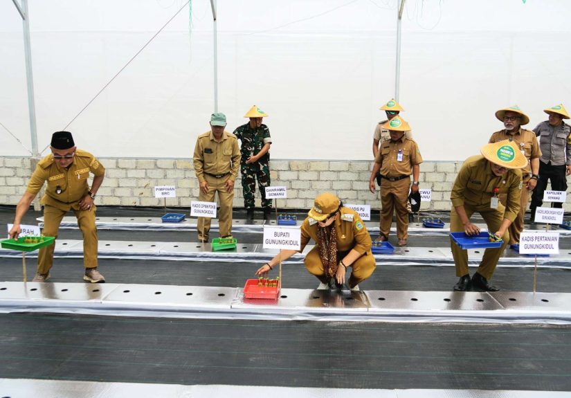 BKPPD Kabupaten Gunungkidul Lakukan Soft Launching Apik Linuwih ...